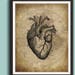 Heart Anatomy, Doctor Gift, Macabre, Anatomical Heart, Printable Map ...