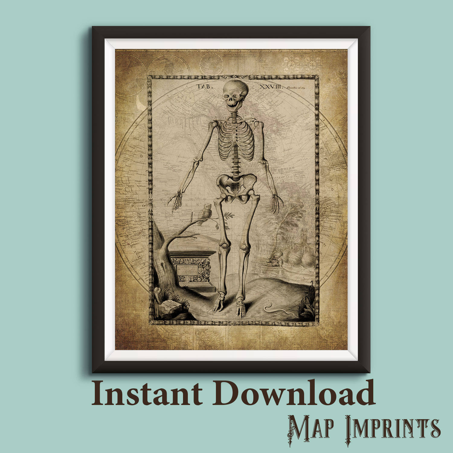 Skeleton Art, Anatomy Print, Medical Illustration, Antique Drawing ...