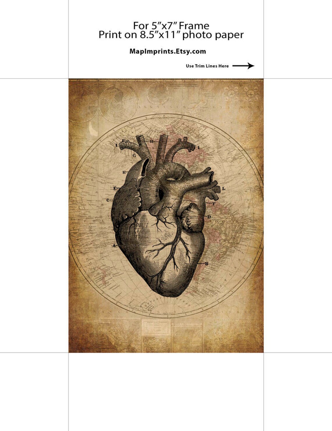 Heart Anatomy, Doctor Gift, Macabre, Anatomical Heart, Printable Map ...