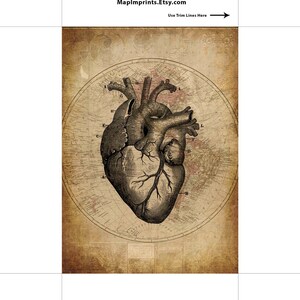 Heart Anatomy, Doctor Gift, Macabre, Anatomical Heart, Printable Map ...