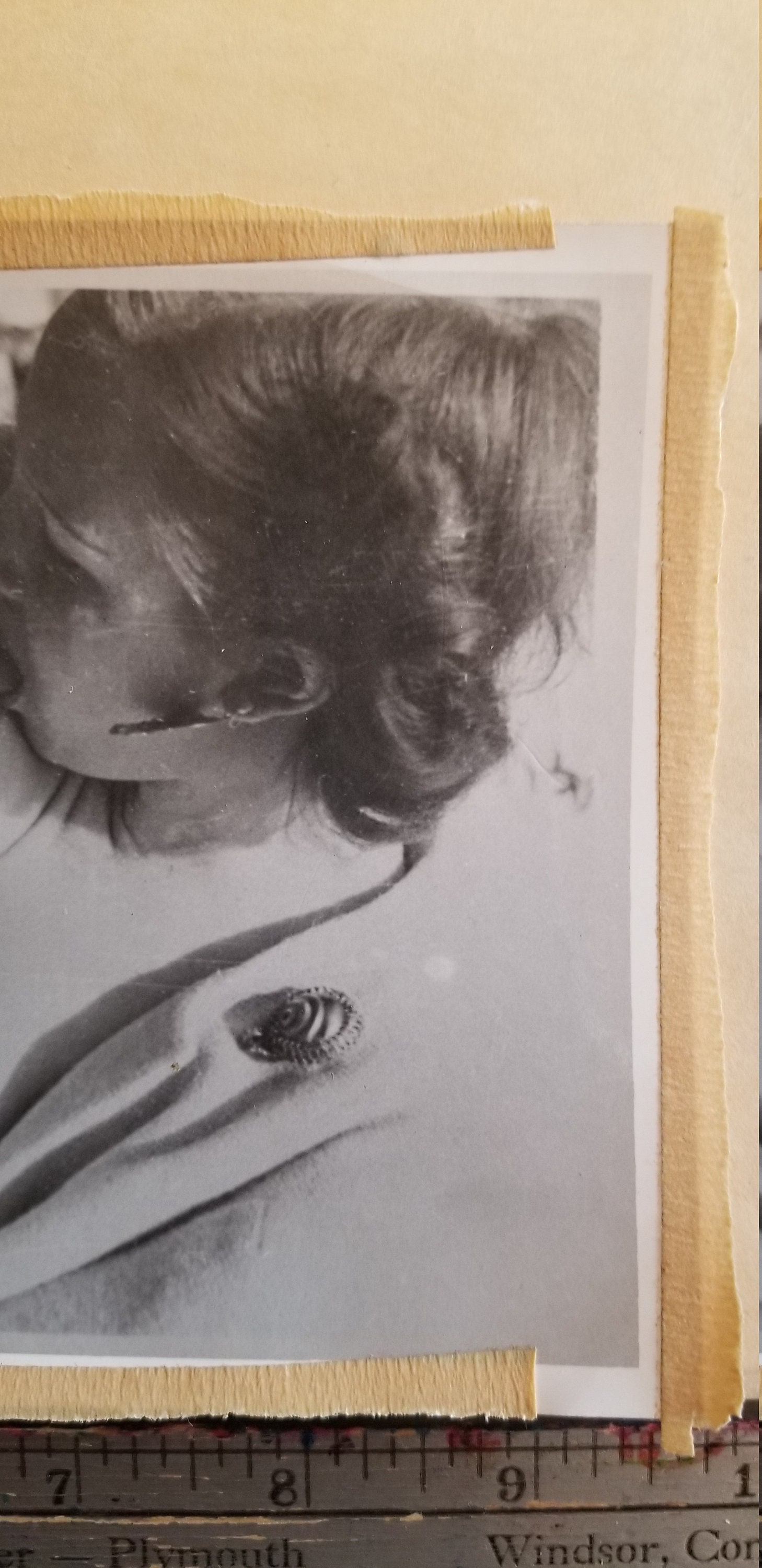 Vintage Sexy Women Nudes Naked Art Photos Photography Etsy