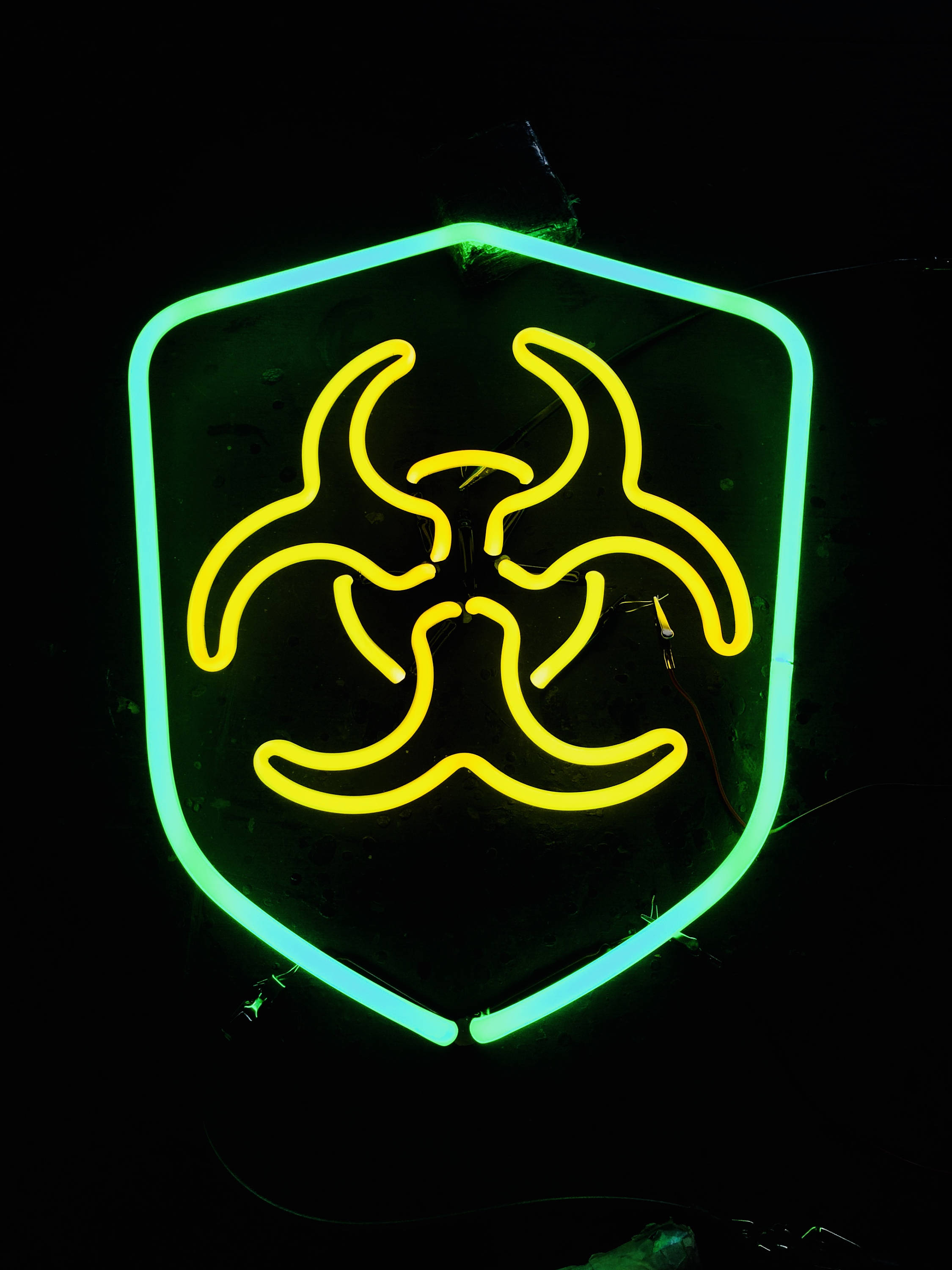Custom Neon Biohazard Sign - Etsy