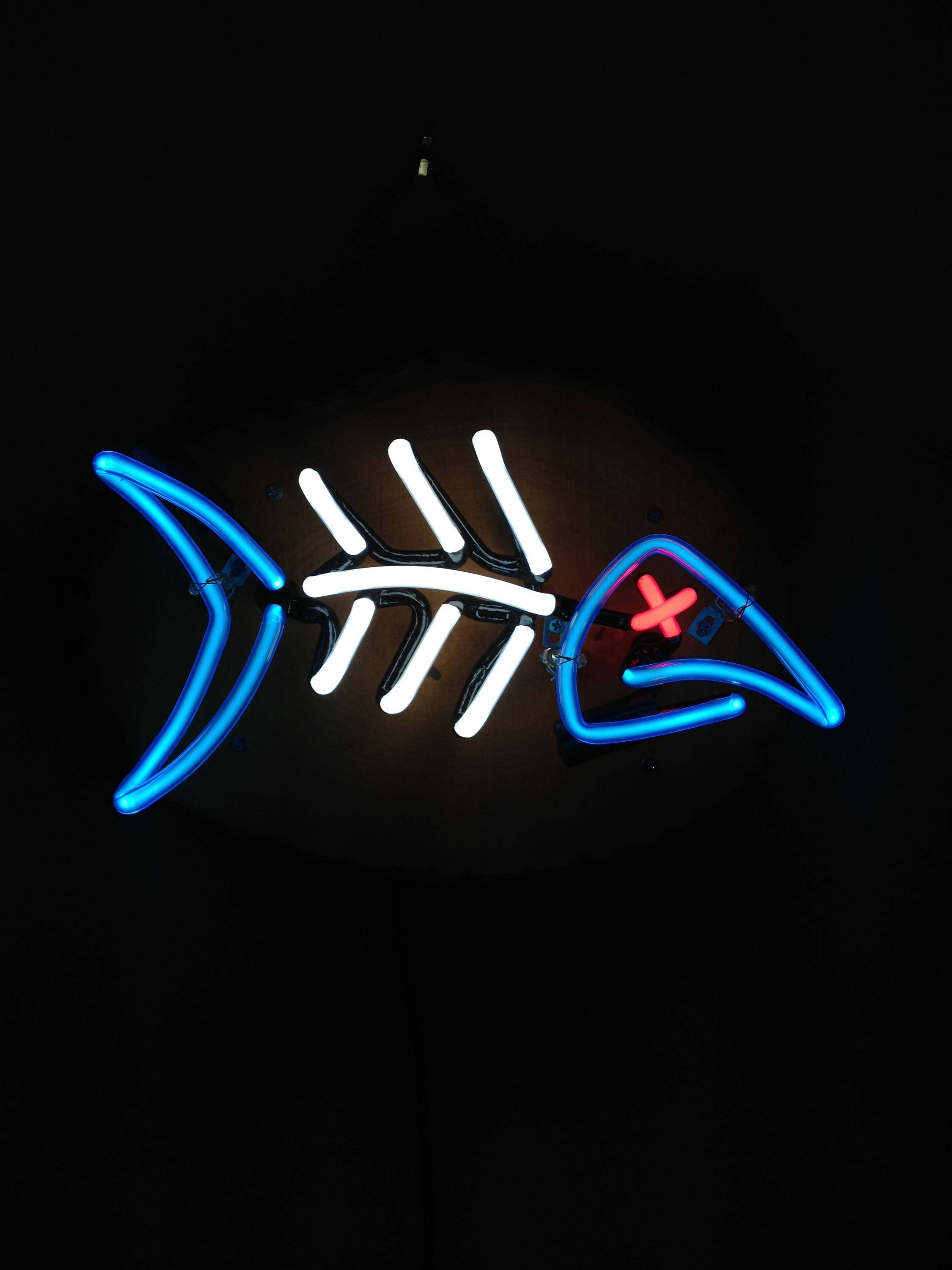 Custom Neon Sign Fish Skeleton - Etsy