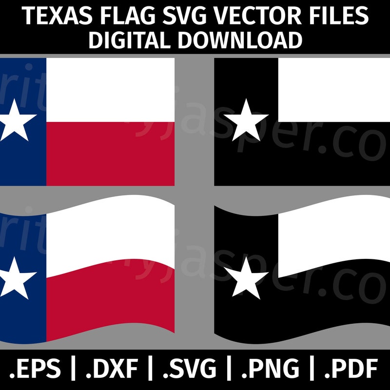 Texas Flag on Flag Pole - Etsy