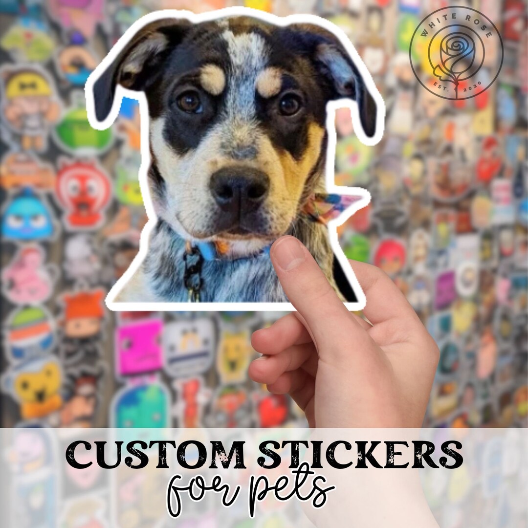 Personalized Pet Face Stickers, Custom Cat Stickers, Pet Name Stickers ...