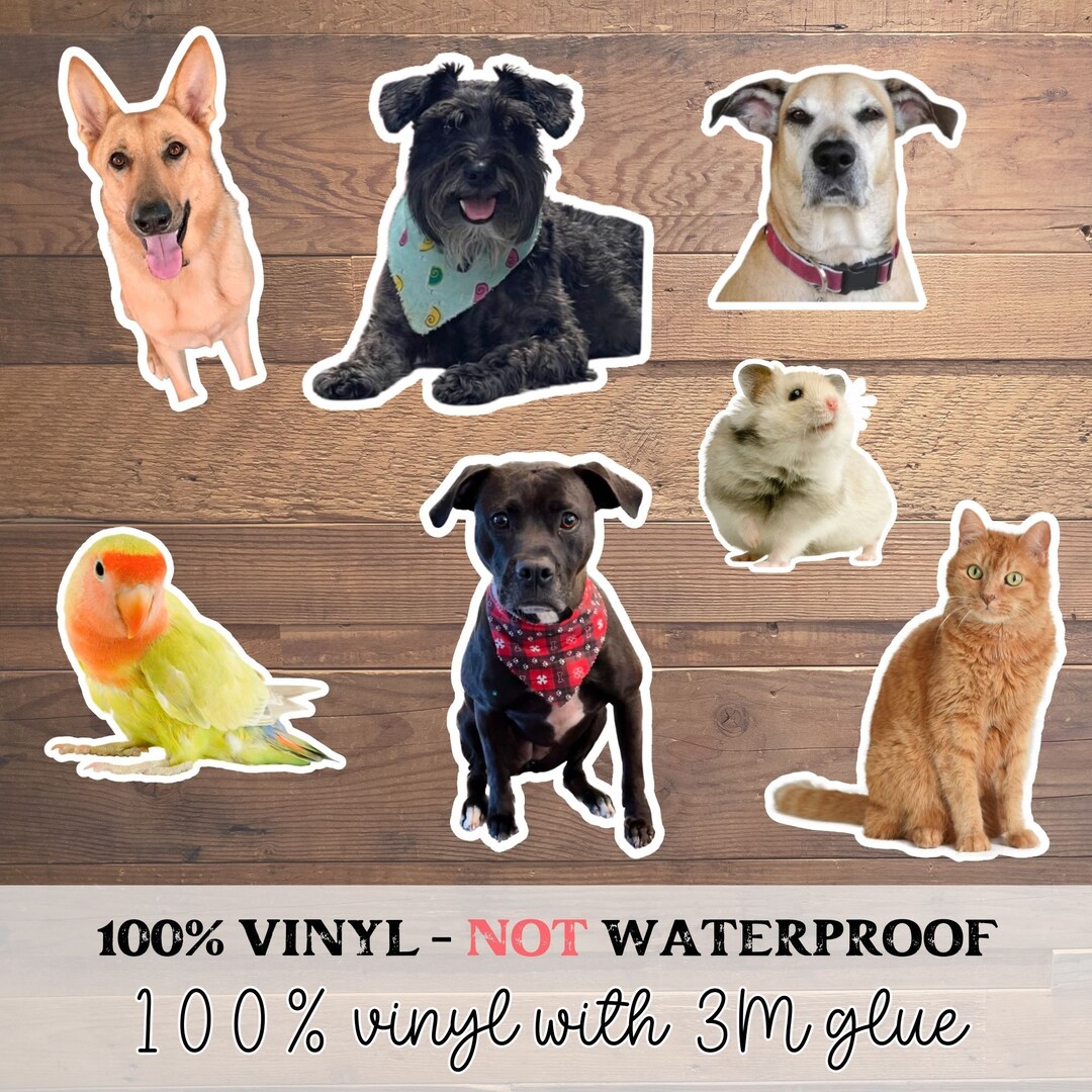 Personalized Pet Face Stickers Custom Cat Stickers Pet Name Stickers ...