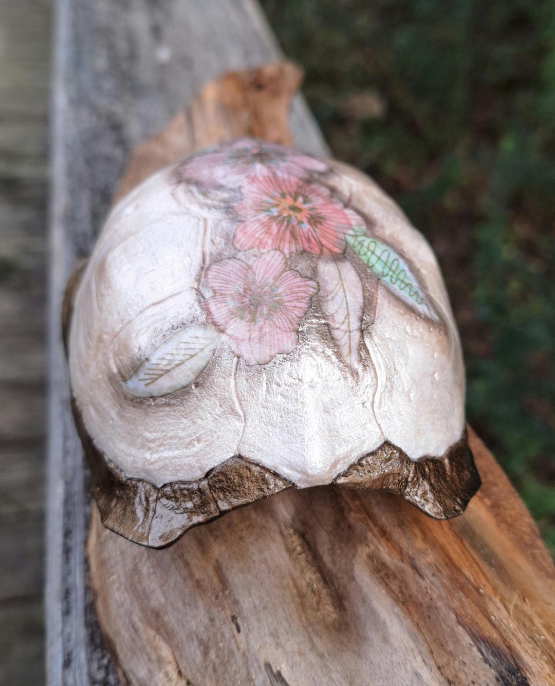 Hand Painted Found Turtle Shell - Etsy