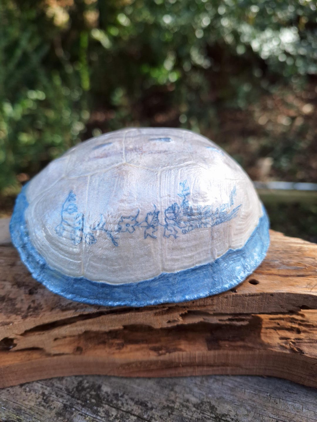Hand Painted Found Turtle Shell - Etsy