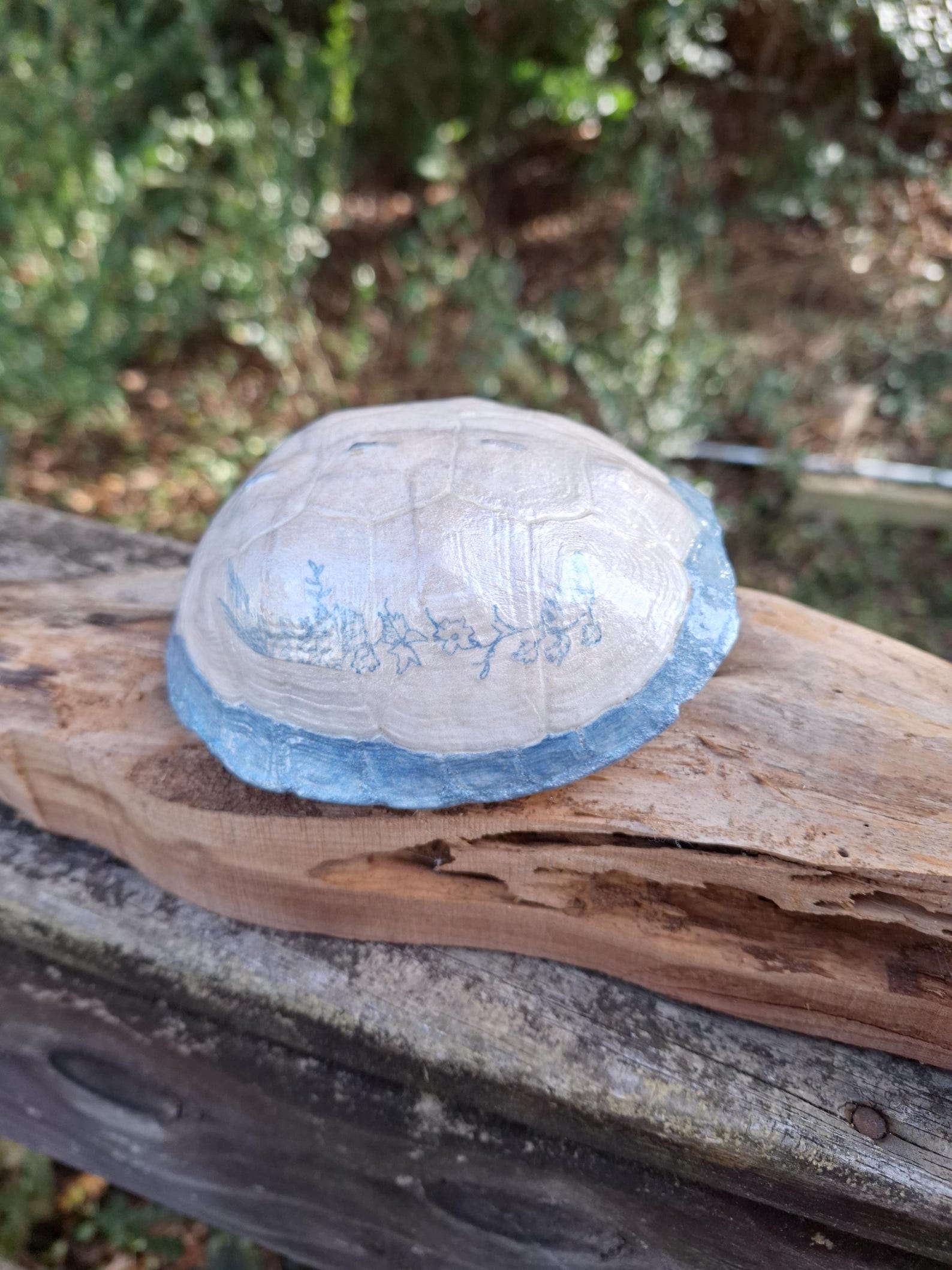 Hand Painted Found Turtle Shell - Etsy