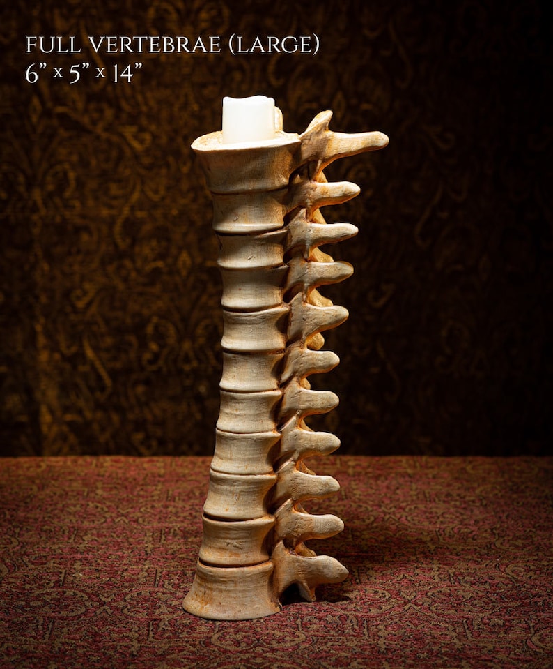 Spine Candle Holders - Etsy