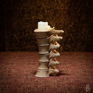 Spine Candle Holders - Etsy