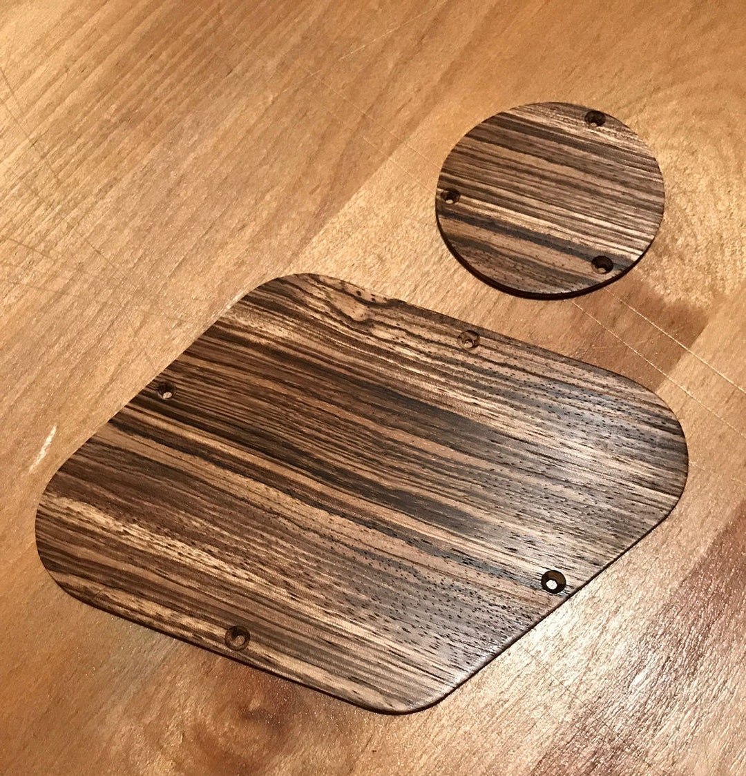 Gibson Les Paul Backplate Set Show in Zebrawood - Etsy