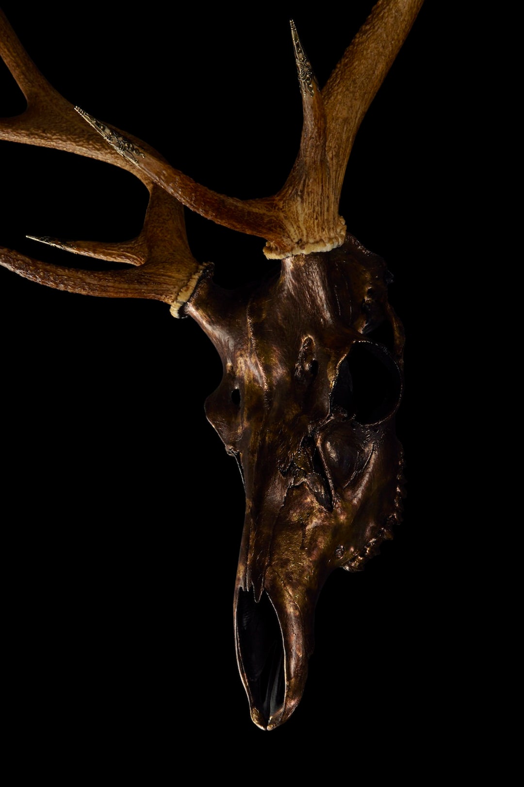 Stag Stag Sculpture Print HONOVI Hopi Name Meaning strong Deer - Etsy