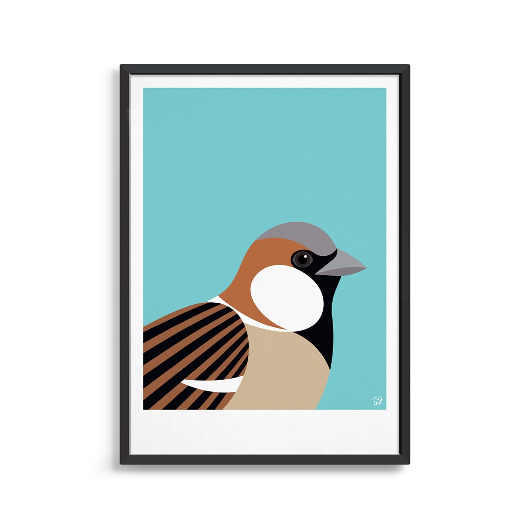 Sparrow Poster / UK Garden Bird Art Print / British Bird Wall Art ...