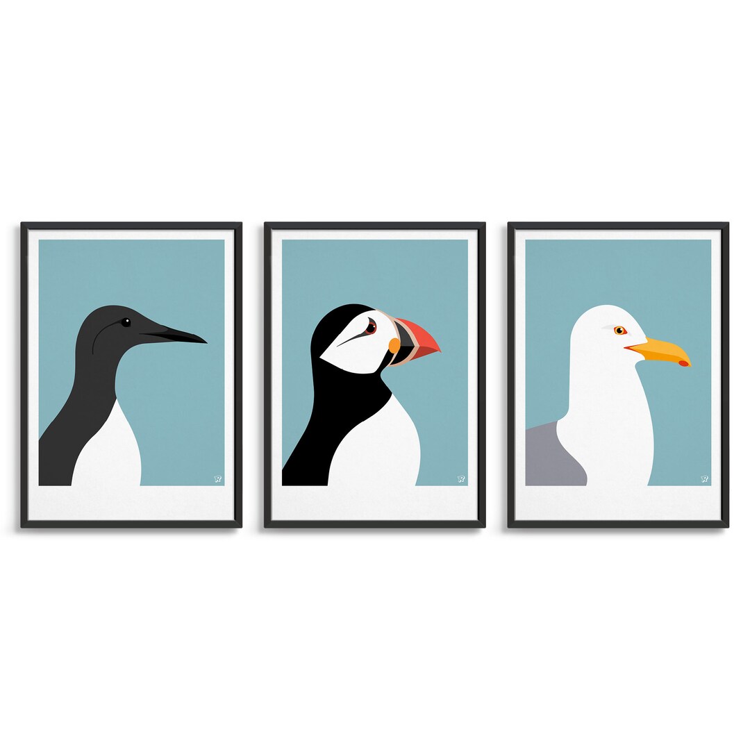 Set of 3 UK Coastal Bird Prints / Sea Bird Triptych / Seagull Puffin ...