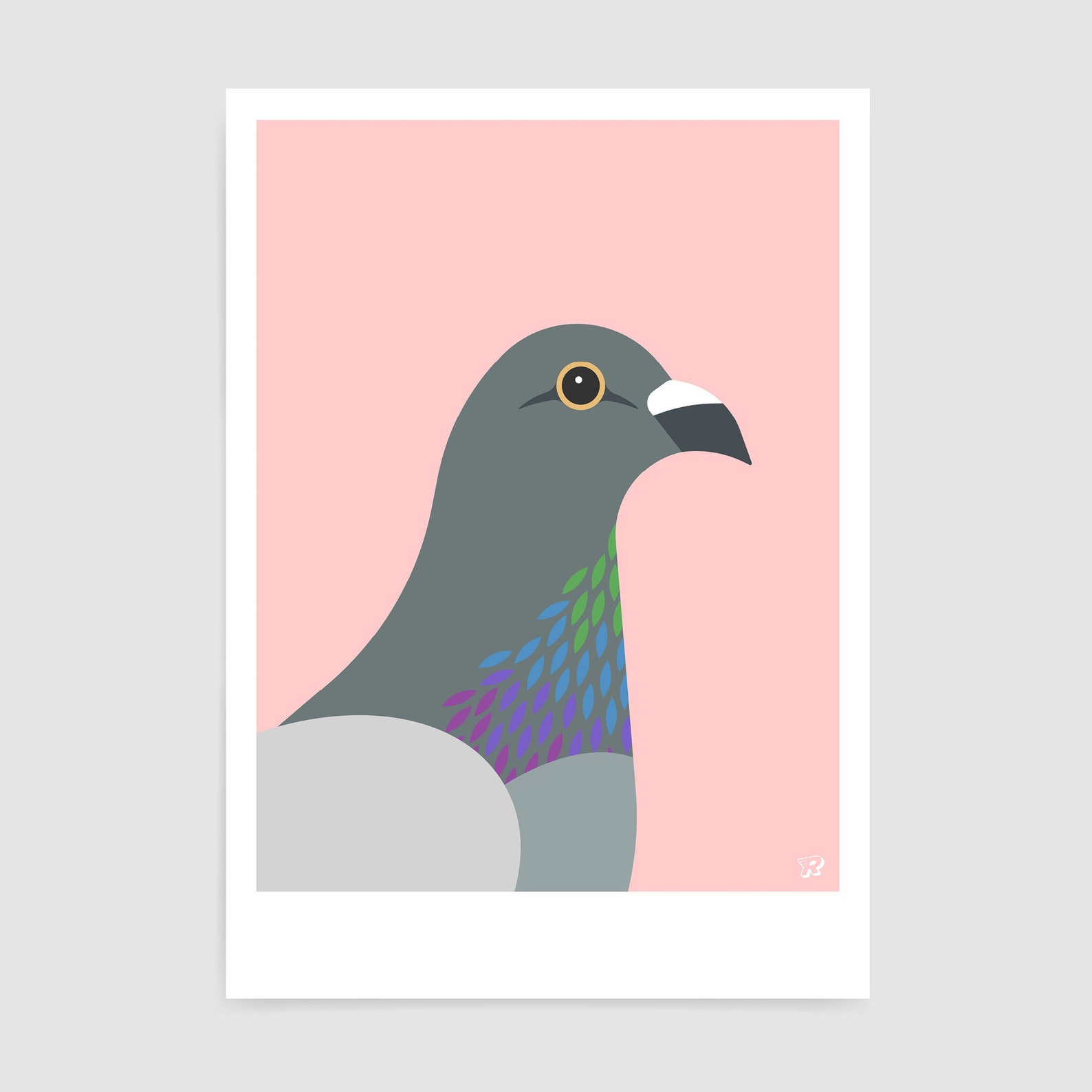 Original Pigeon Art / Modern Design Bird Print / British Wildlife Wall ...