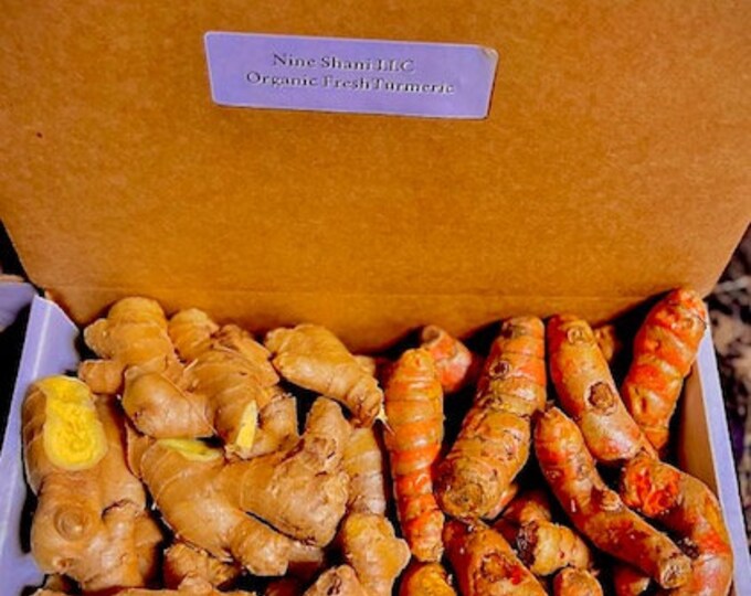 Fresh Wild Turmeric From Fiji 1/2 LB - Etsy