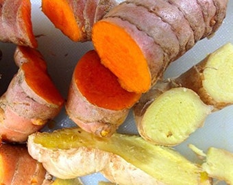 Fresh Wild Turmeric and Ginger NON GMO 1 LB Each Grow Your Own - Etsy