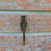 Viking Style Lamp, Forged Torch - Etsy