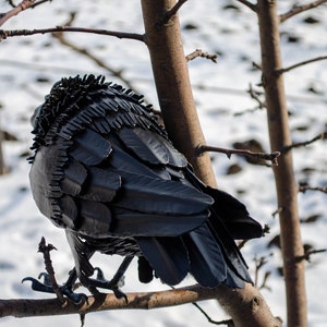 Wrought Iron Crow - , Crow Sculpture. - Etsy