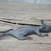 Wrought Iron Mouse, Mouse Sculpture - Etsy