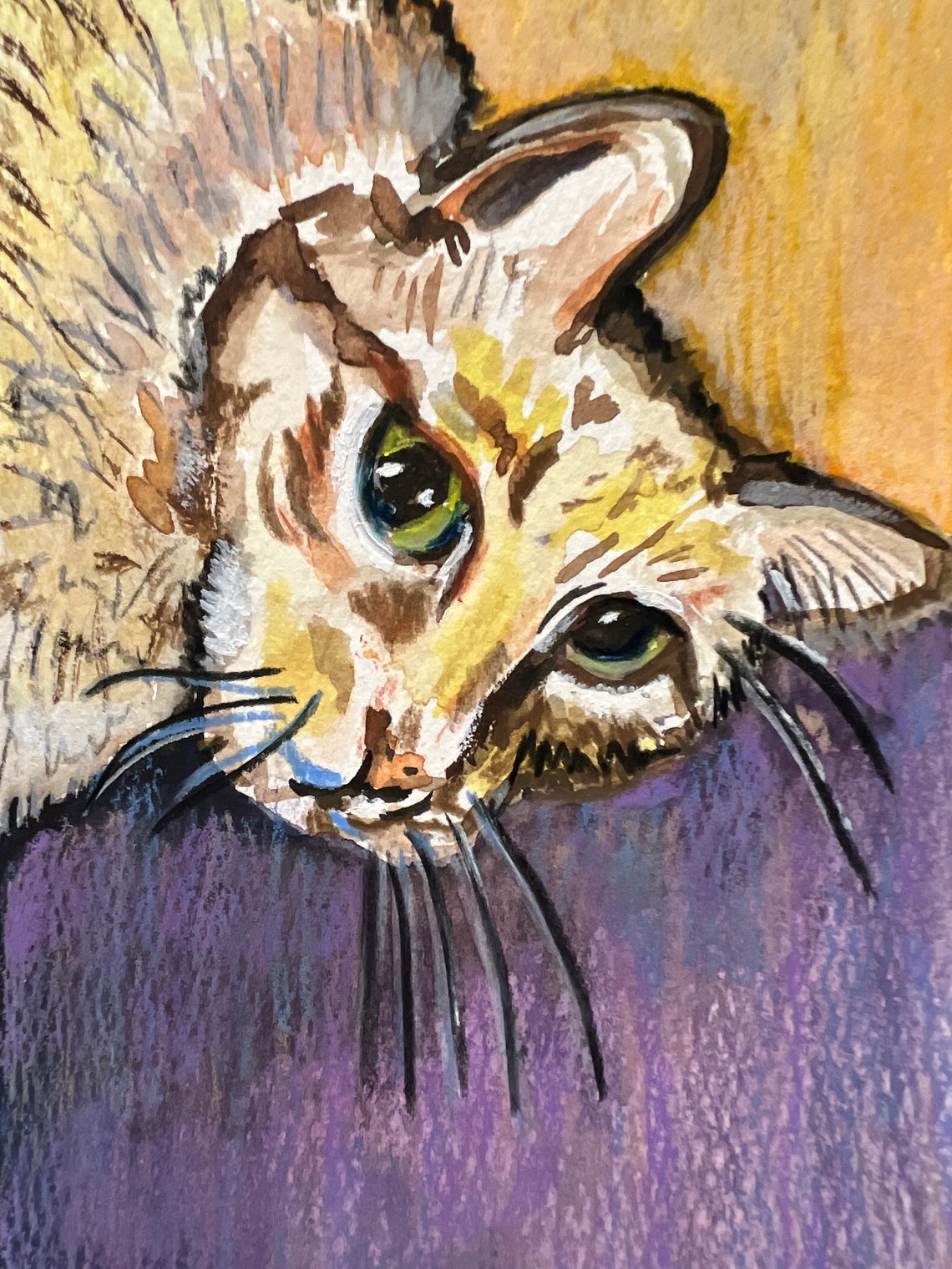 Whimsical Pet Portrait - Etsy