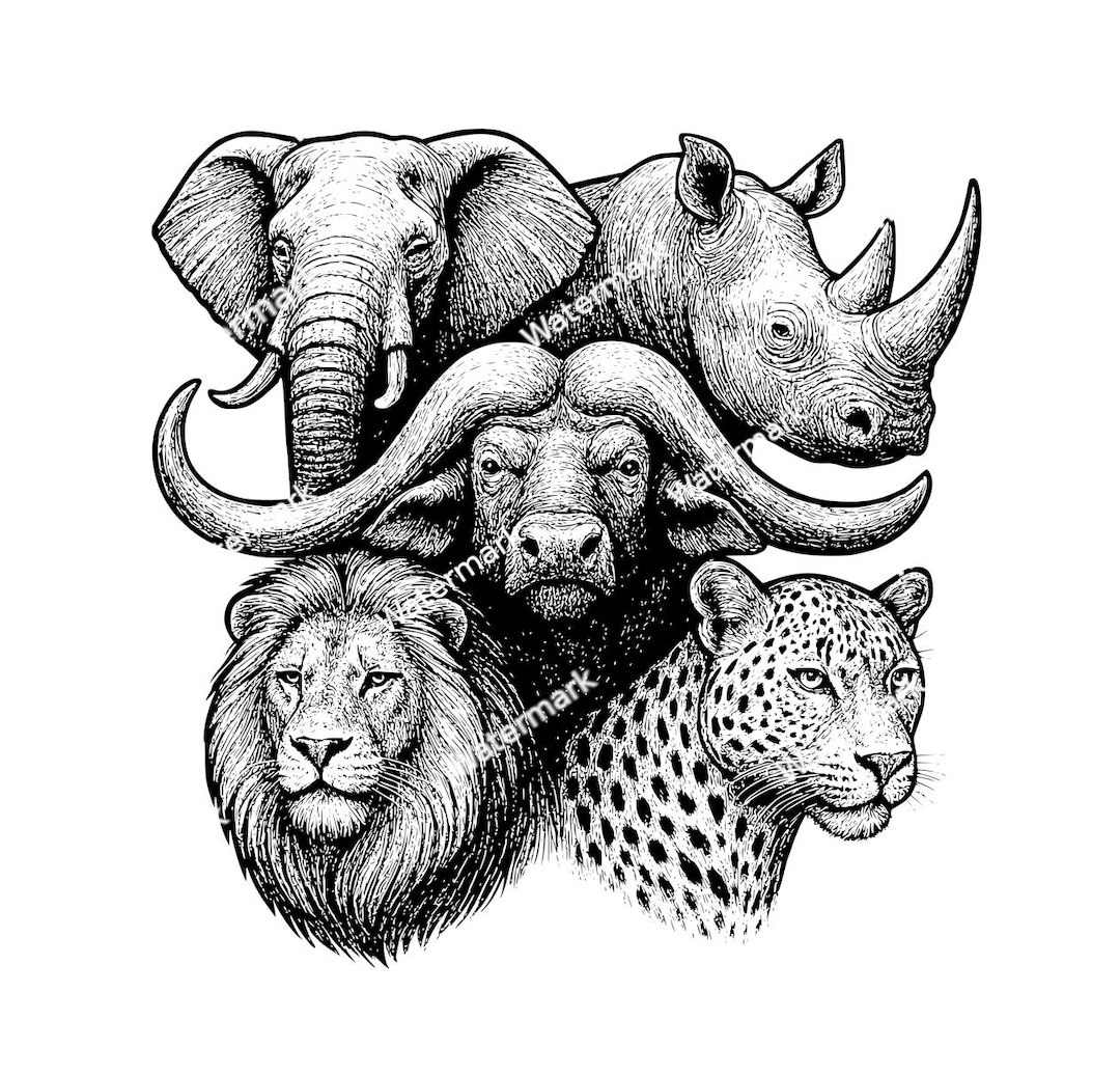 Big Five Africa PNG, SVG, DXF Files. Elephant, Rhino, Leopard, Buffalo ...