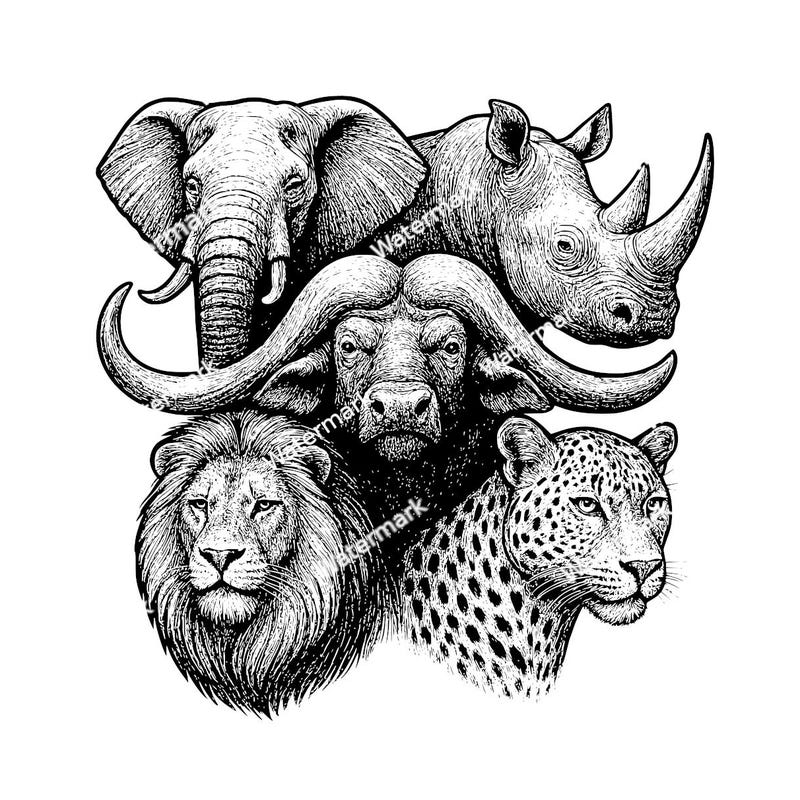 Bettr. Clo Big 5 - Etsy Canada