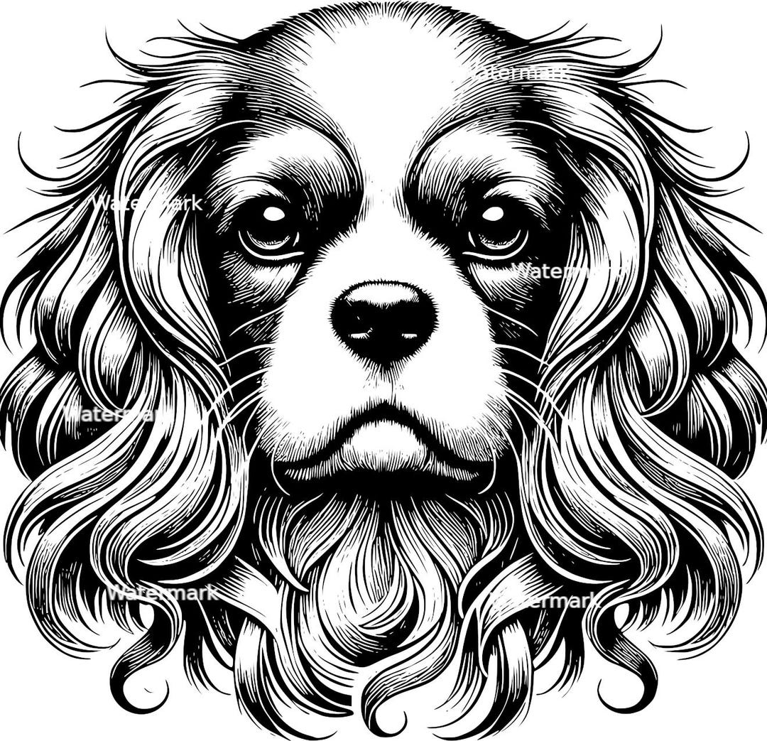 Cavalier Head Head PNG, SVG, DXF Files. Vector Graphic Files. Clip Art ...