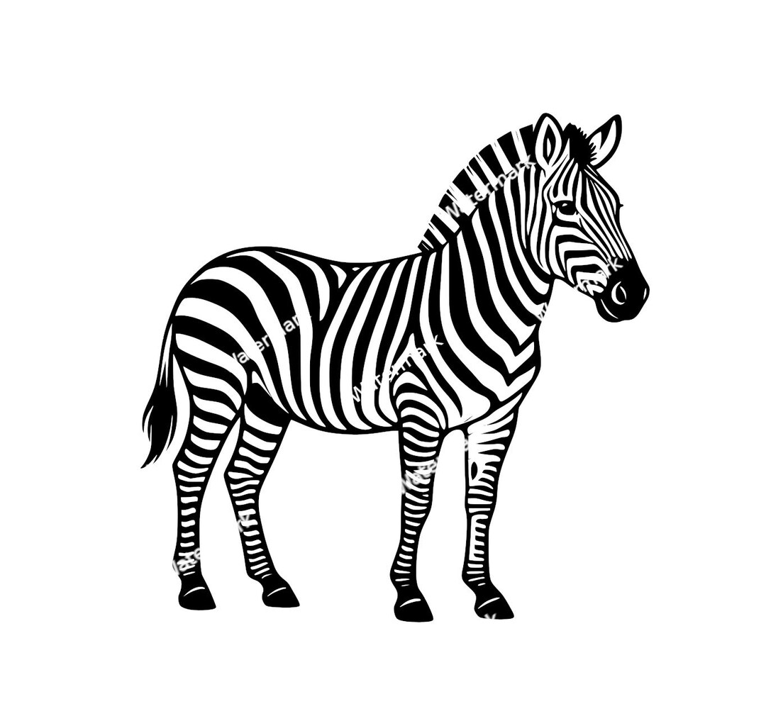 Zebra PNG, SVG, DXF, Clipart, for Print, for Laser Engraving ...