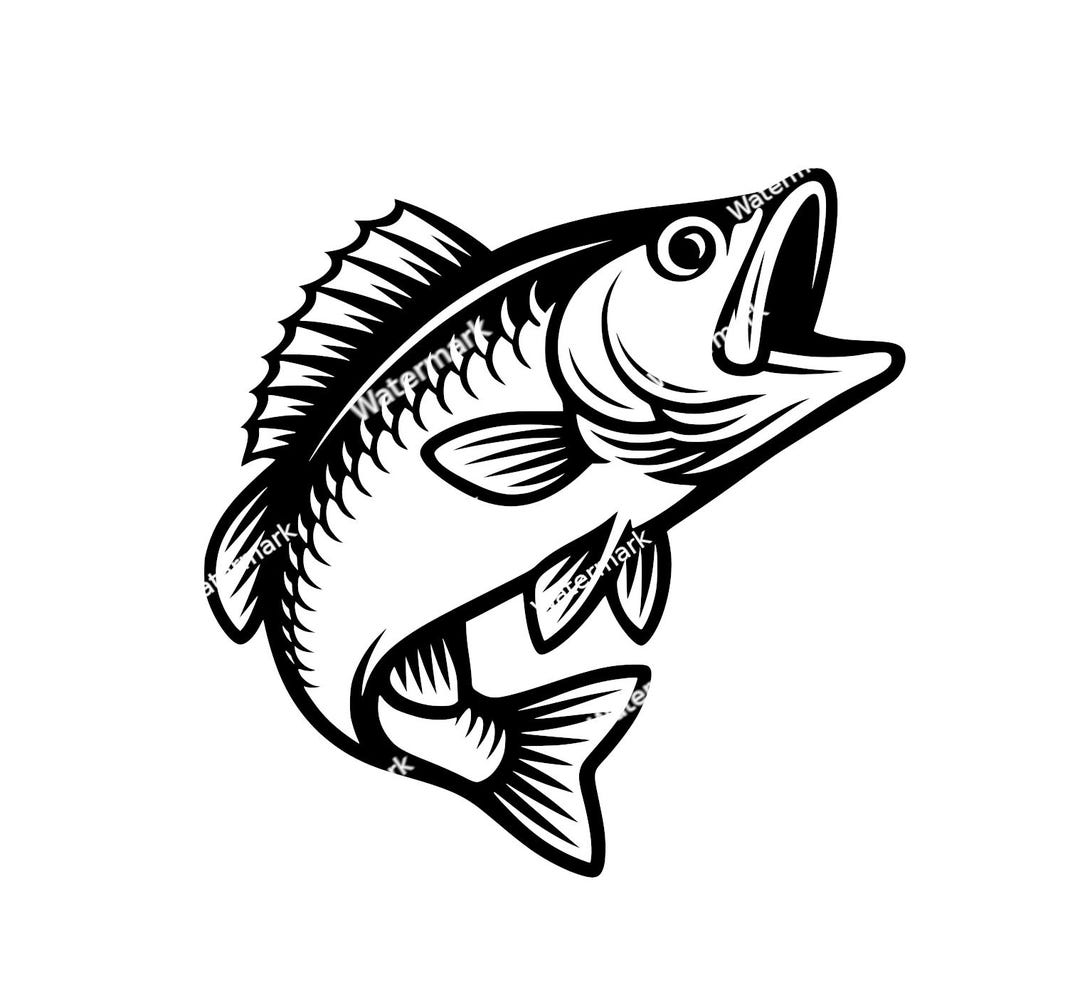 Largemouth Bass Fish PNG, SVG, DXF, Cricut Files. Bass Fish for Cricut ...