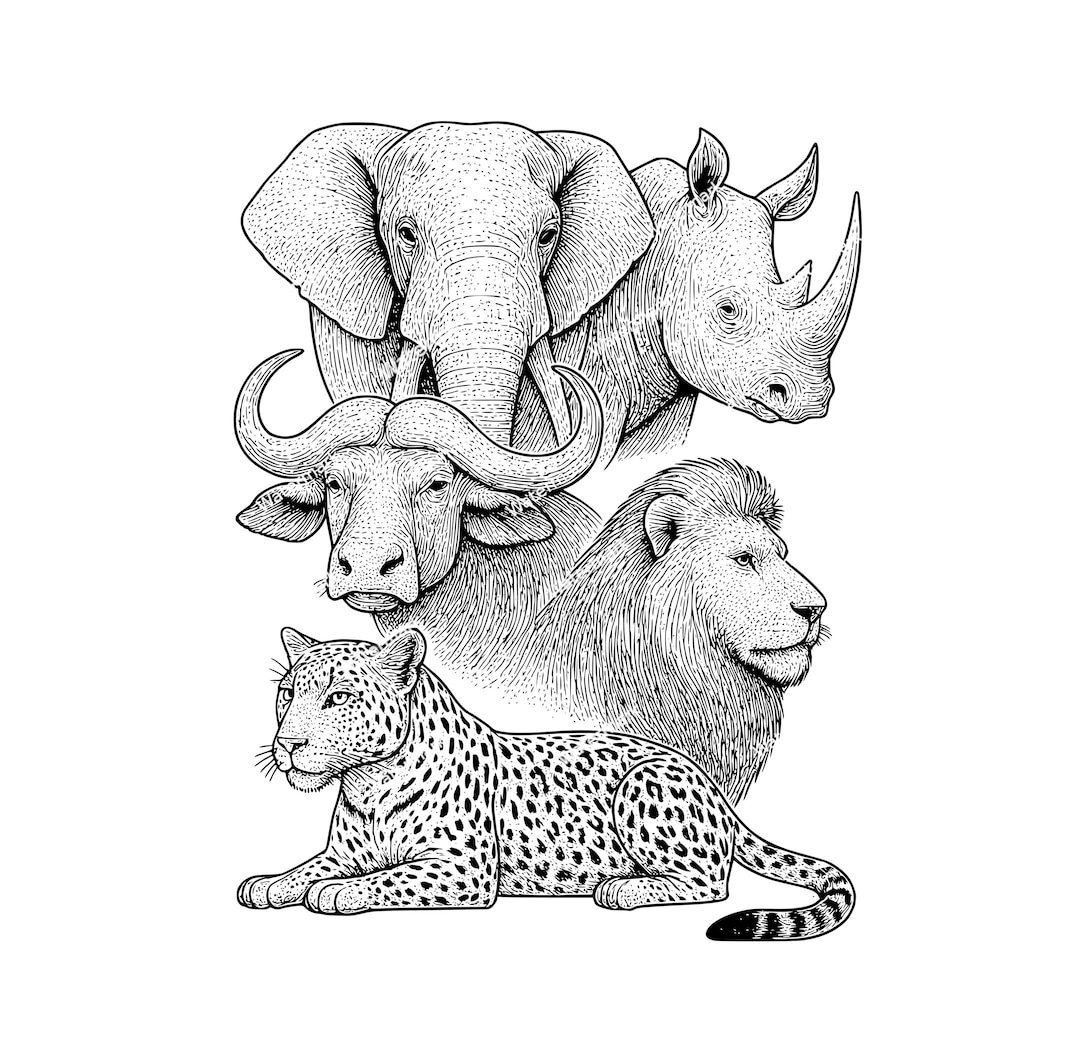 Big Five Africa PNG, SVG, DXF Files. Elaphant, Rhino, Panther, Buffalo ...