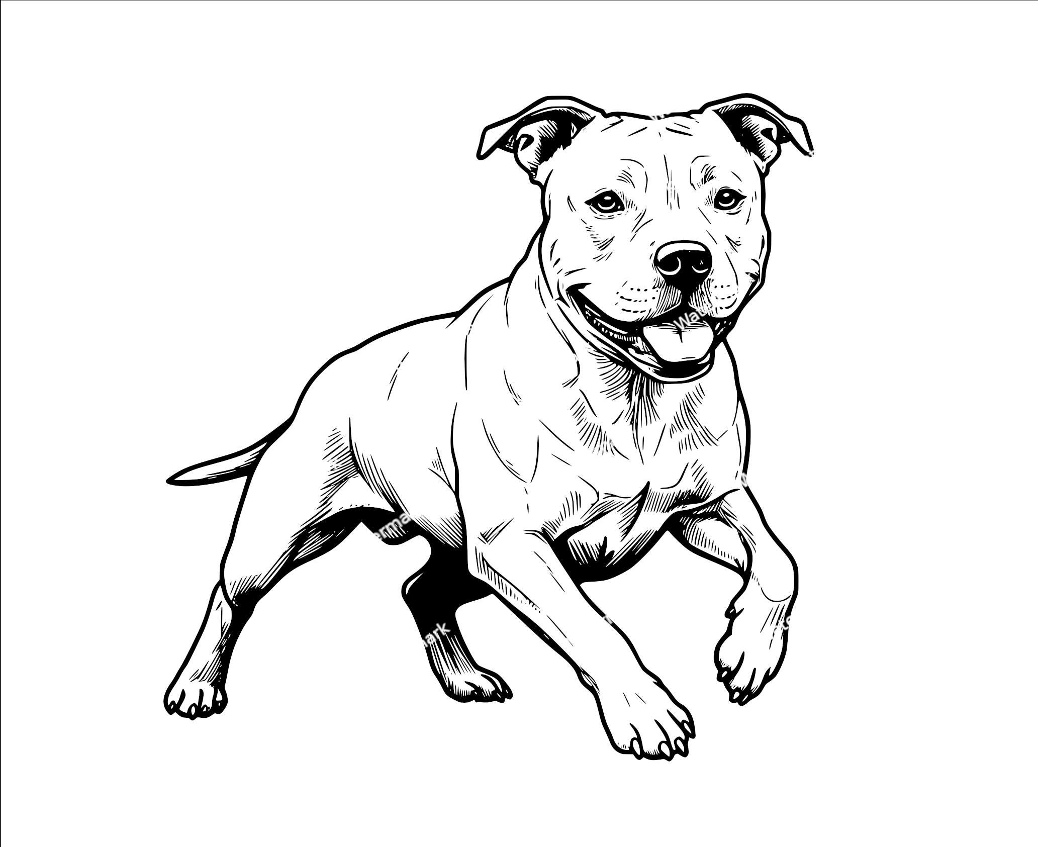 Staffordshire Bull Terrier PNG, SVG, DXF Files. Vector Graphic Files ...
