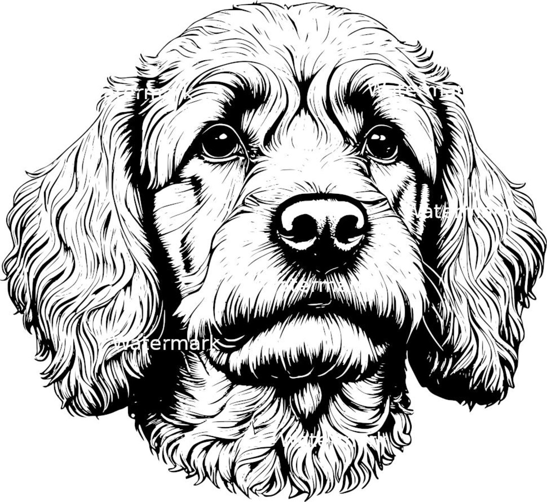 Cockapoo Head PNG, SVG, DXF Files. Vector Graphic Files. Clip Art ...