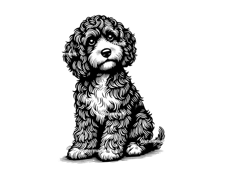 Cockapoo Sitting PNG, SVG, DXF Files. Vector Graphic Files. Clip Art ...