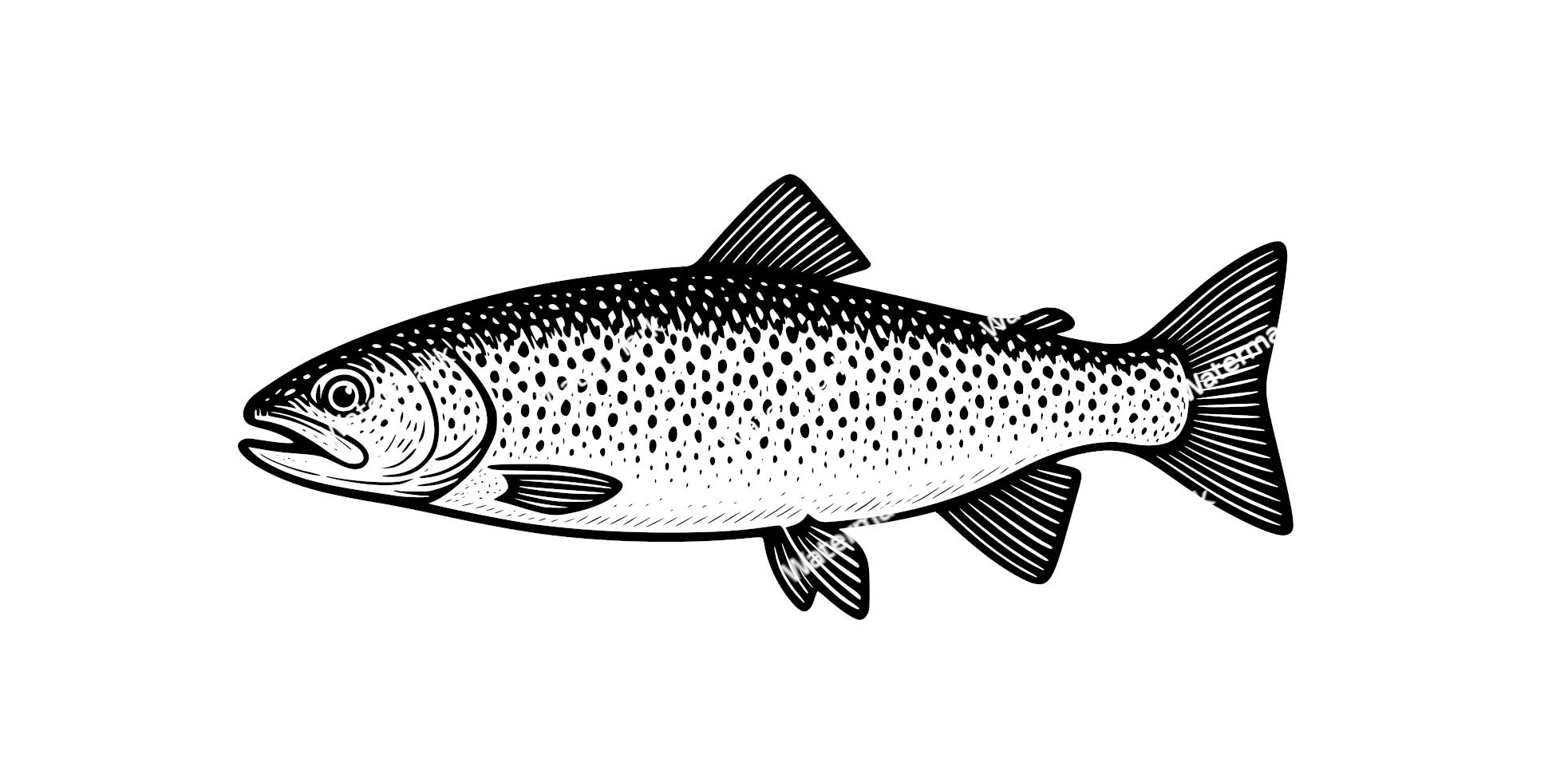 Trout Fish PNG, SVG, DXF, Cricut Files. Trout Fish for Cricut and Laser ...