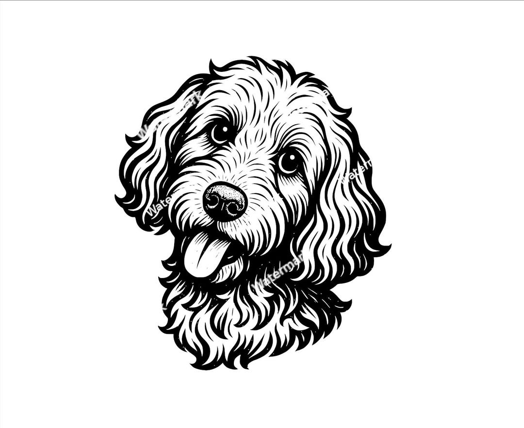 Cockapoo Head PNG, SVG, DXF Files. Vector Graphic Files. Clip Art ...