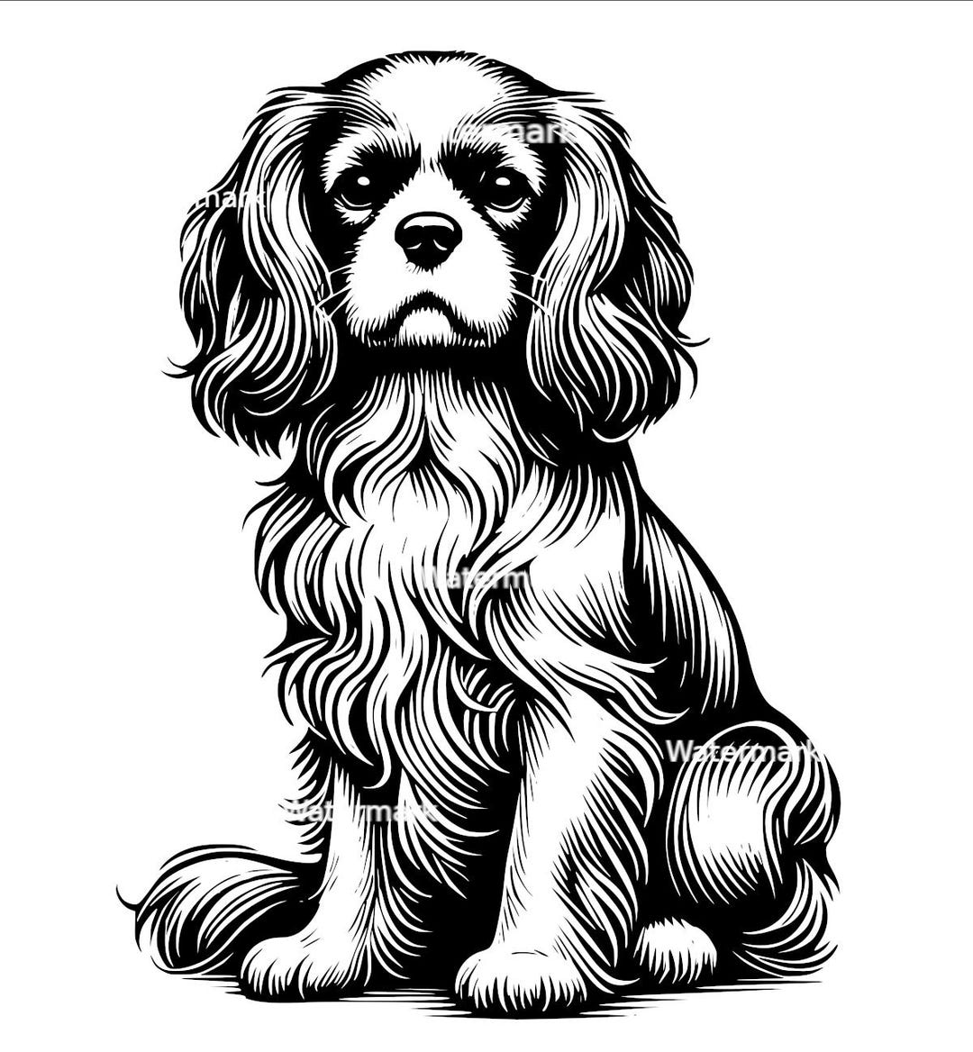 Cavalier Sitting PNG, SVG, DXF Files. Vector Graphic Files. Clip Art ...