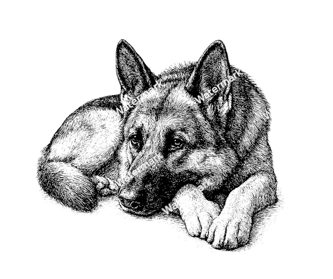 German Shepherd PNG, SVG, DXF Files. Vector Graphic Files. Clip Art ...