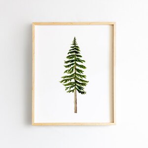 Baby Boy Nursery Wall Decor - Woodland Nursery Art Prints - Tree ...