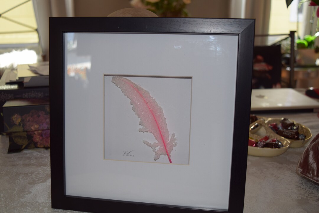 Mounted and Framed Wish Feather - Etsy