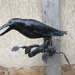 Crow iron crow metal sculpture metal figurine art object | Etsy