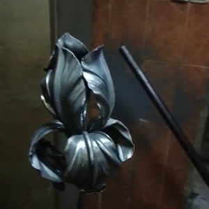 Garden Gate, Iris, Gate, Balcony, Yard, Christmas, Terrace, Balcony ...