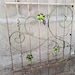 Window Grate, Window Grille, Window Art, Metal Panel, Window Cover ...