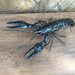 Crawfish Crayfish Crustacean Metal Sculpture Metal - Etsy