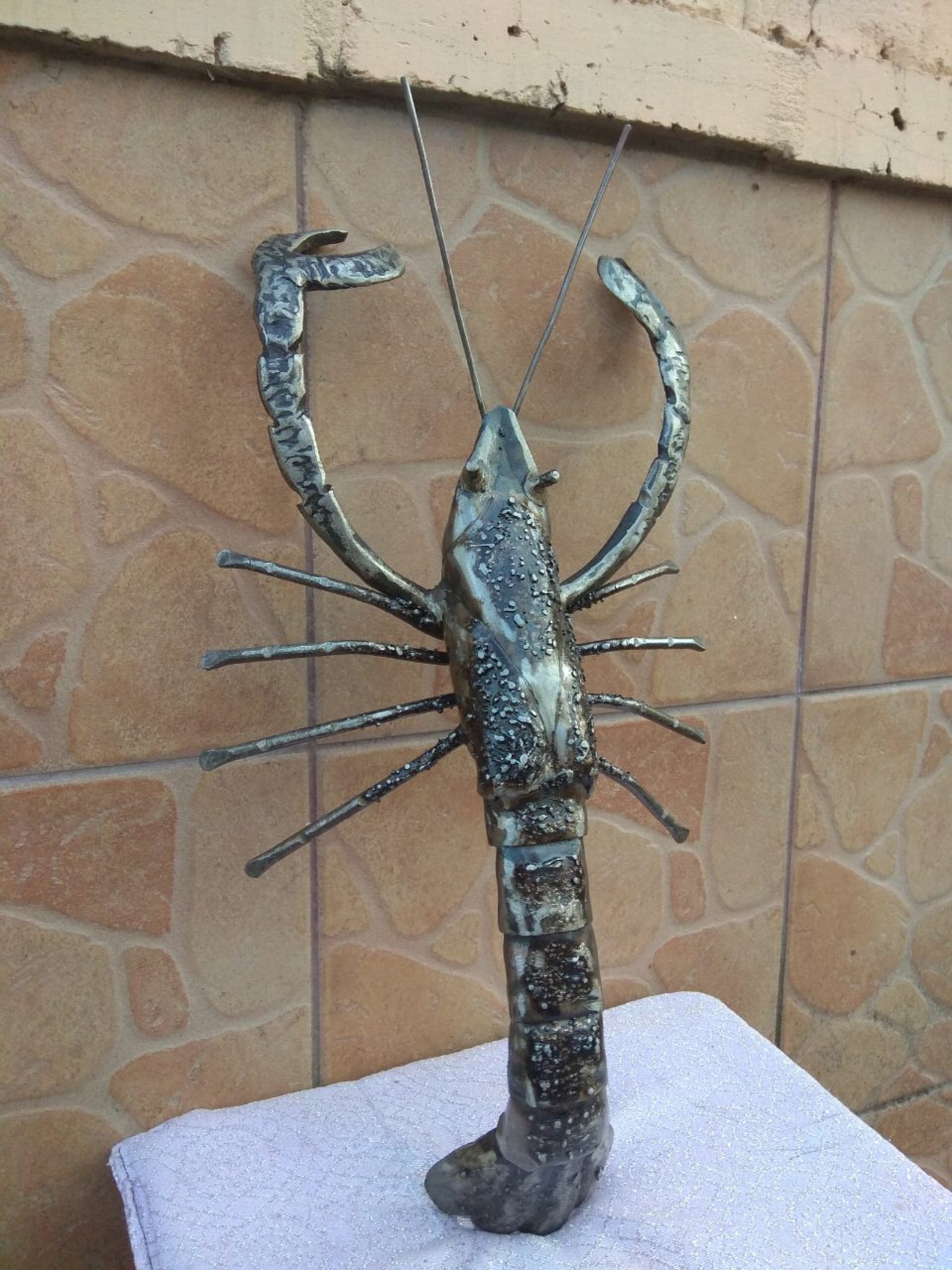 Crawfish crayfish crustacean shrimp lobster shellfish | Etsy