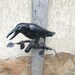 Crow, Iron Crow, Metal Sculpture, Metal Figurine, Art Object, Hand ...