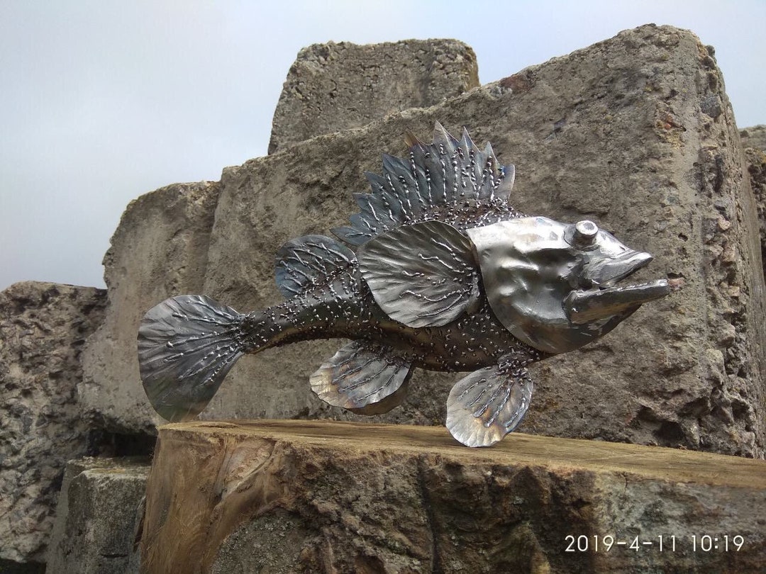 Fish, Fish Decor, Fishing, Sea Life, Red Sea Bass, Fisherman, Aquarium ...