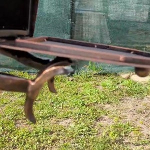 Mailbox, Dragon, Mail Box, Wedding, Medieval, Wild Nature, House Number ...