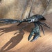 Crawfish Crayfish Crustacean Metal Sculpture Metal - Etsy